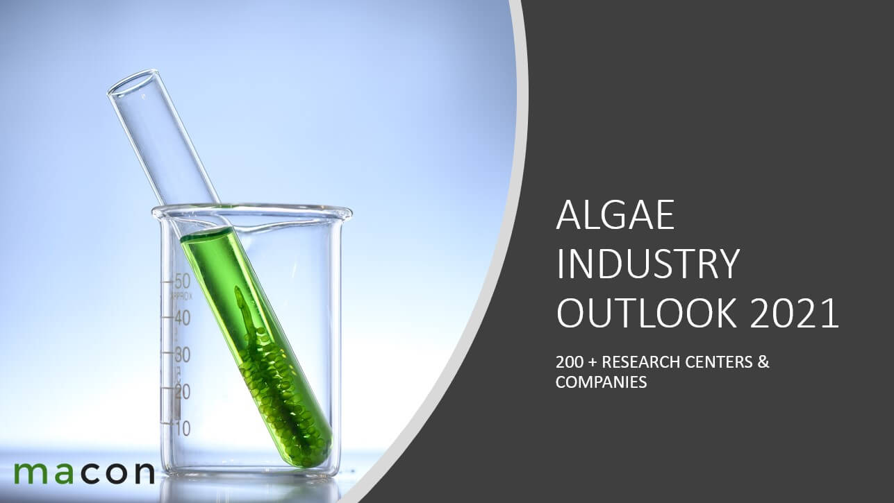 Macon (2021 Winner: European Enterprise Awards) - EU Business News