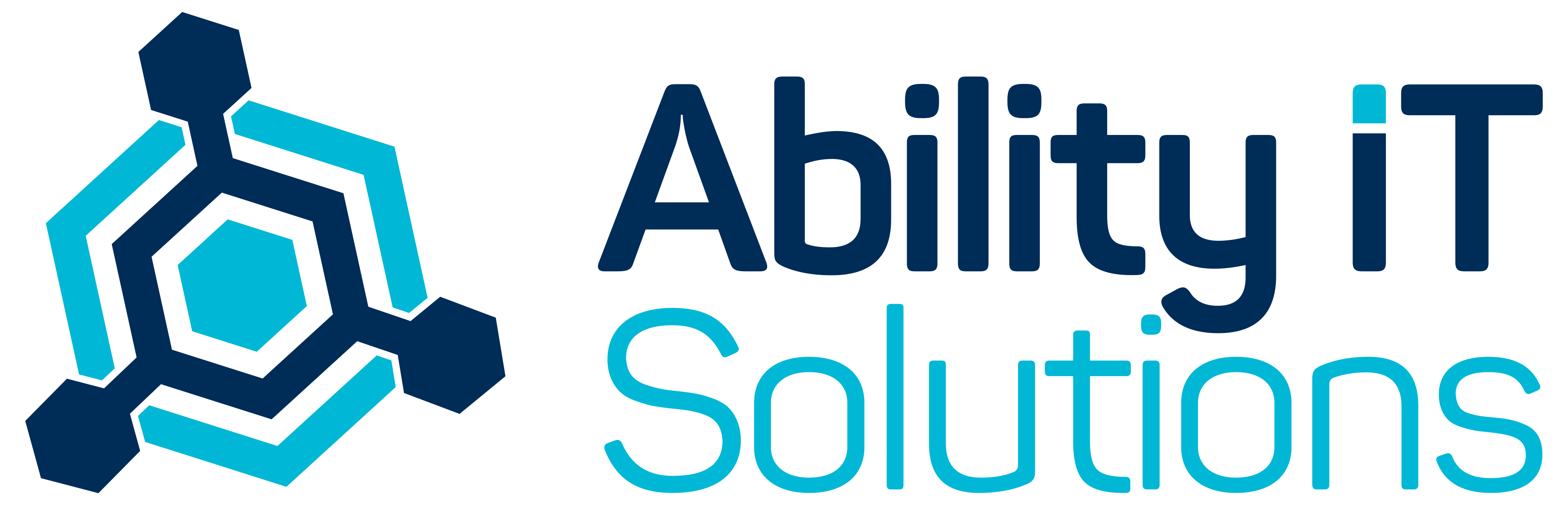 Ability IT Solutions (2022 Winner: Irish Enterprise Awards) - EU ...